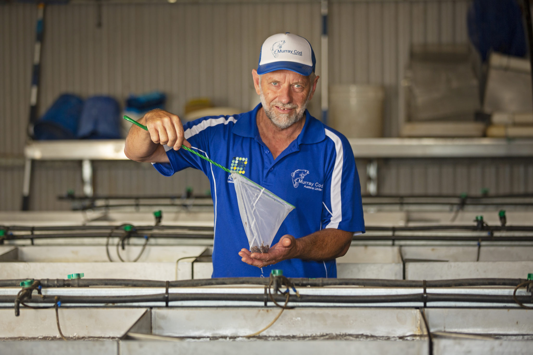 Australia’s best Murray cod | Aquna Sustainable Murray Cod